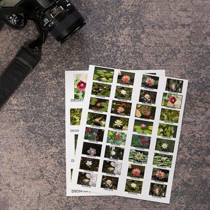 Contact Sheets - Digital Pro Lab