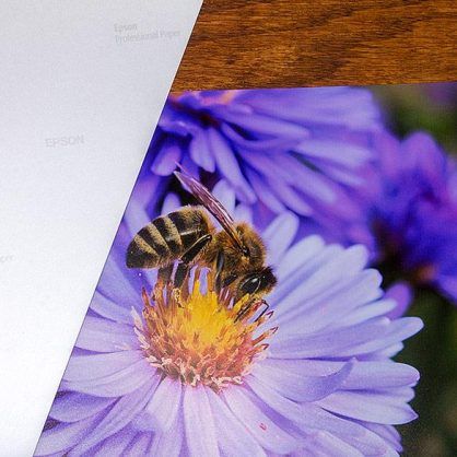 Premium Lustre Prints - Photo & Fine Art Products - Digital Pro Lab